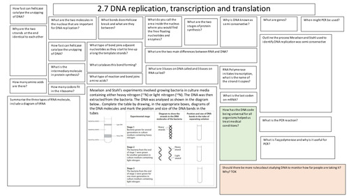 2.7 DNA replication, transcription and translation learning mat ...
