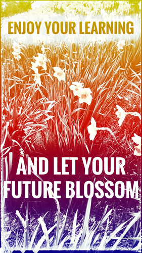 Thinking Skills motivational posters | Teaching Resources