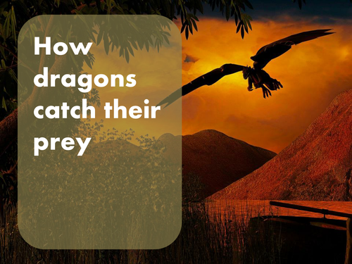 How dragons catch their prey - explanation example text and lesson ...