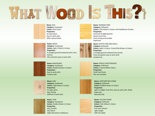 What Wood Is This? ~ Identification Tool/Poster | Teaching Resources