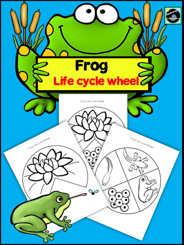 Frog Life Cycle Wheel | Teaching Resources