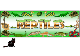 Reptiles Themed Pack | Teaching Resources