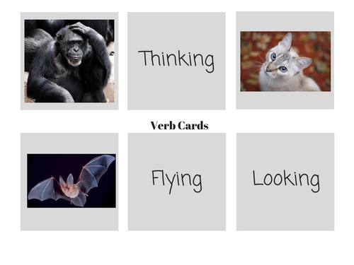 30 Verbs Animal Flash Cards - Suitable for Adults and Children Learning ...