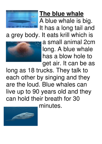 1 week non-fiction literacy planning on the blue whale and Antarctic ...