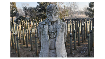 Shell Shock | Teaching Resources