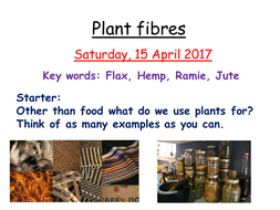 Uses of plant resources- Edexcel SNAB 2015 | Teaching Resources