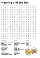 Parts of the ear and how we hear Word Search | Teaching Resources
