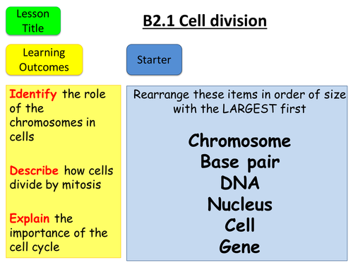 AQA GCSE B2.1 Cell Division | Teaching Resources