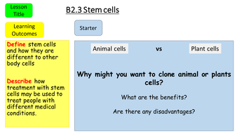 AQA GCSE B2.3 Stem Cells | Teaching Resources