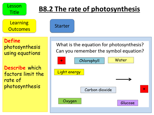 AQA GCSE B8.2 Rate of Photosynthesis | Teaching Resources