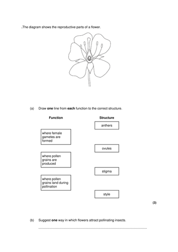 New KS3 Lesson on Plant Reproduction - pollination, with practical work ...