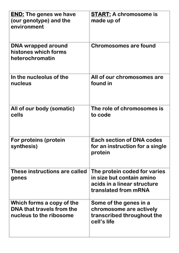 A level chromosome and DNA structure card loop / dominoes | Teaching ...