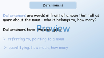 SATS Grammar Revision - Determiners | Teaching Resources