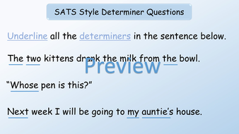 SATS Grammar Revision - Determiners | Teaching Resources