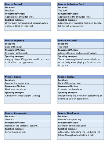 GCSE PE OCR 9-1 Location & role of muscles flash/revision cards ...