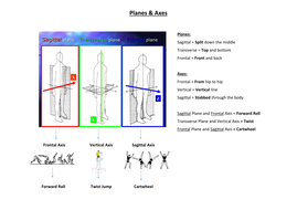 Edexcel New GCSE PE 9-1. Levers/Planes & Axes A3 Posters | Teaching ...