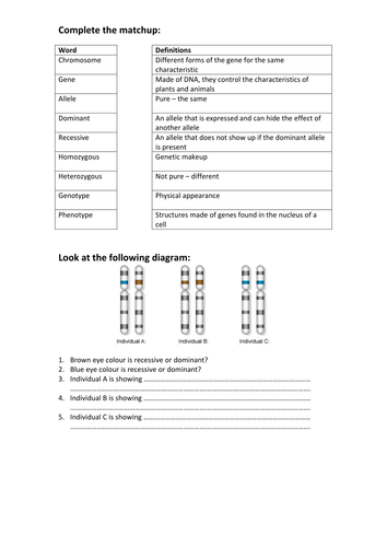 Genes, Chromosomes and DNA | Teaching Resources