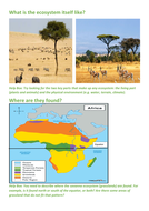 Savanna Ecosystem | Teaching Resources