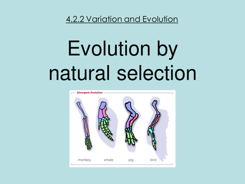 4.2.2 Evolution and Variation of OCR A level Biology | Teaching Resources
