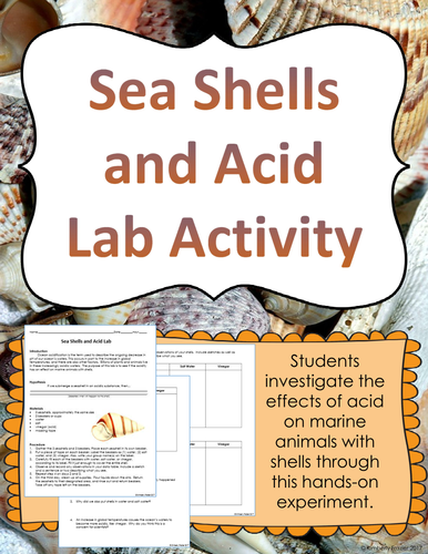Sea Sponge Absorbency Lab Experiment | Teaching Resources
