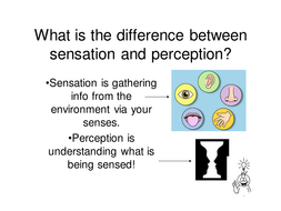 OCR GCSE Psychology - Perception unit - whole series of lessons ...