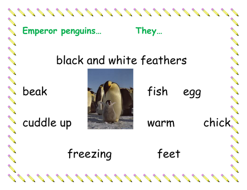 1 week non-fiction literacy planning on emperor penguins and the ...