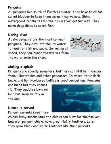 1 week non-fiction literacy planning on emperor penguins and the ...