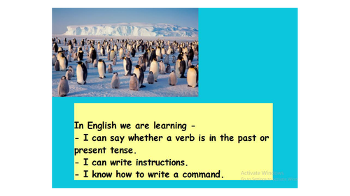 1 week non-fiction literacy planning on emperor penguins and the ...