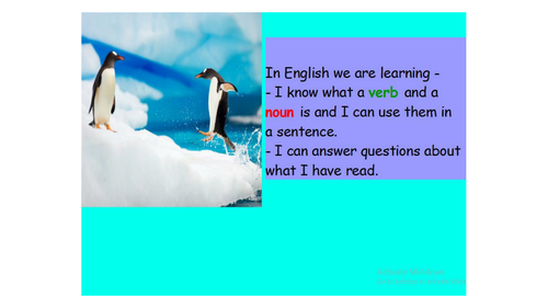 1 week non-fiction literacy planning on emperor penguins and the ...