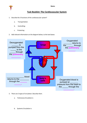 OCR GCSE PE (2016) - CARDIOVASCULAR SYSTEM WORKSHEET (LAPs) | Teaching ... OCR GCSE PE (2016) - CARDIOVASCULAR SYSTEM WORKSHEET (LAPs) | Teaching ...