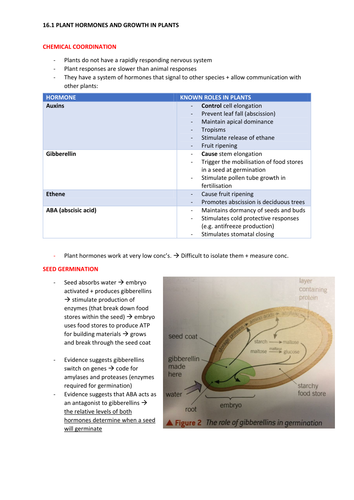 Plant hormones and growth in plants [REVISION NOTES] | Teaching Resources