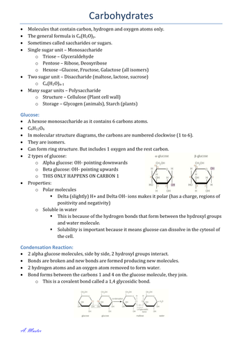 Carbohydrates Notes | Teaching Resources
