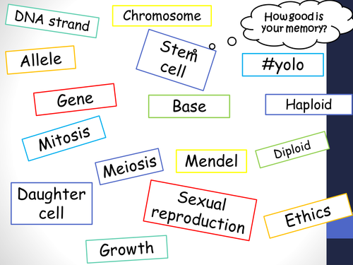 NEW GCSE AQA B2 Cell division whole unit | Teaching Resources