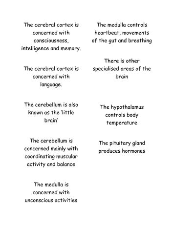 NEW GCSE AQA B10 The human nervous system | Teaching Resources NEW GCSE AQA B10 The human nervous system | Teaching Resources