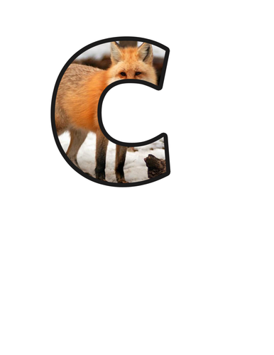 Fox class lettering | Teaching Resources