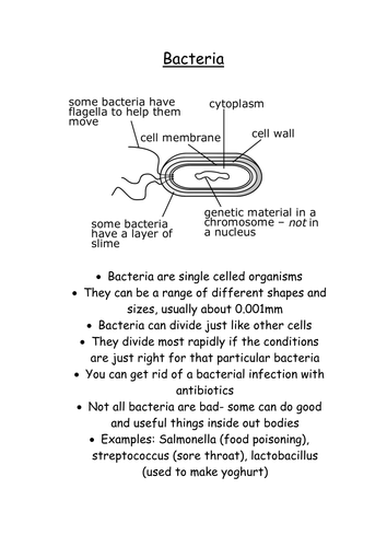 Bacterial Diseases | Teaching Resources