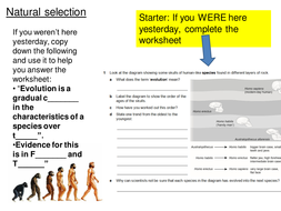 Human evolution & Natural selection (Edexcel 9-1 Science GCSE ...