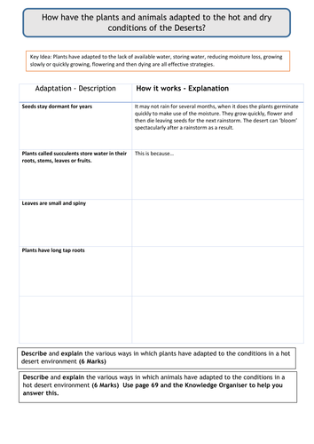 Desert Plant Adaptations, GCSE Geography. | Teaching Resources