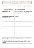Desert Plant Adaptations, GCSE Geography. | Teaching Resources