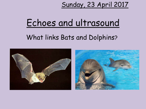 Activate 1 Physics Chapter 2 Sound | Teaching Resources