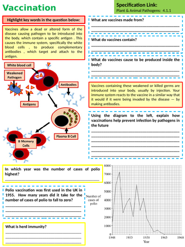 A Level Biology Vaccination Lesson & Activities | Teaching Resources