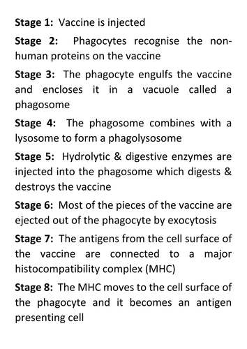 A Level Biology Vaccination Lesson & Activities | Teaching Resources
