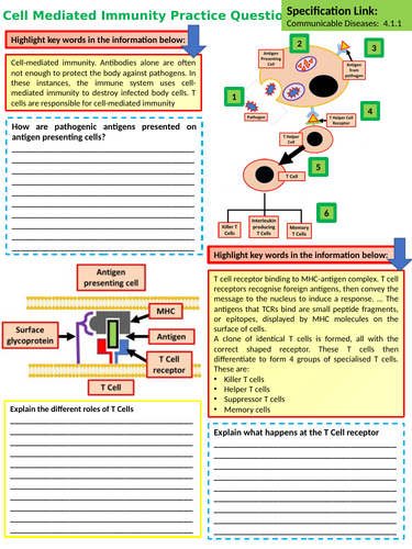 A Level Biology Cell Mediated Immunity Lesson & Activities | Teaching ...