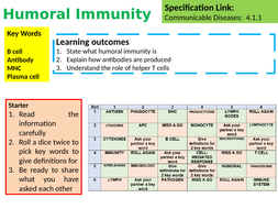 A Level Biology Humoral Immunity Lesson & Activities | Teaching Resources