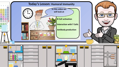 A Level Biology Humoral Immunity Lesson & Activities | Teaching Resources