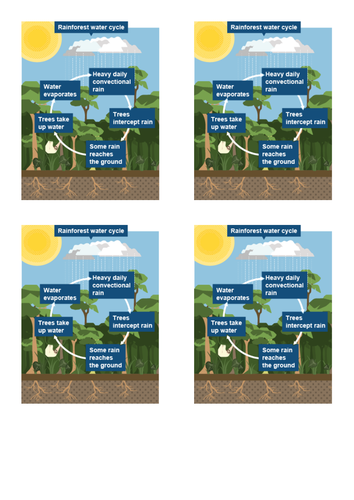 AQA Living World NEW GCSE - Tropical Rainforest Lessons | Teaching ...