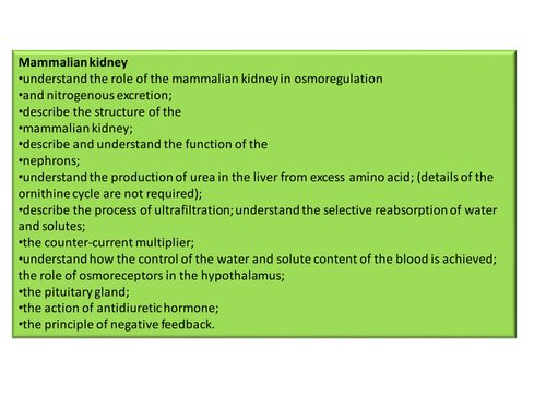 A-level Kidney revision | Teaching Resources