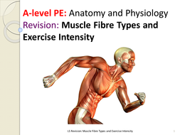 A-level PE: Muscle Fibre Types and Exercise Intensity Revision by ...
