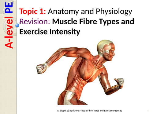 A-level PE Edexcel Spec 2016: Topic 1 Applied Anatomy & Physiology ...