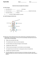 Fuel Cells AQA New Specs 2017 | Teaching Resources